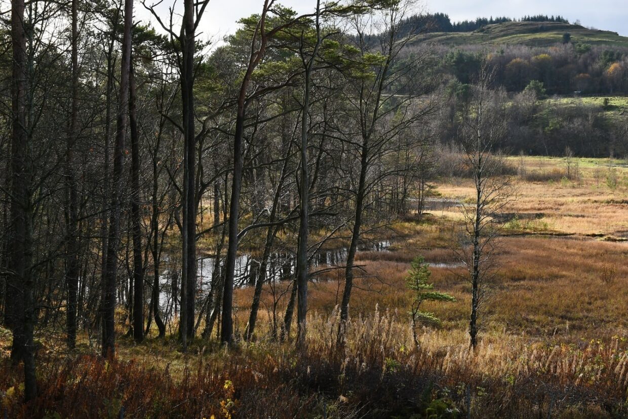 About Us – Tight Chains Co.