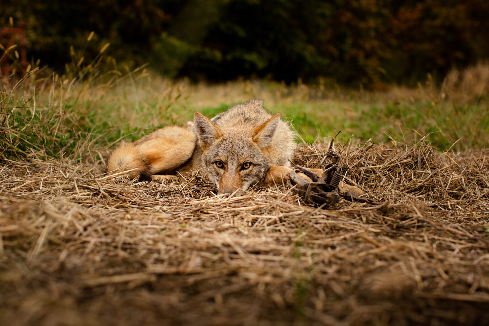 Tight Chains Co. – It's a Lifestyle